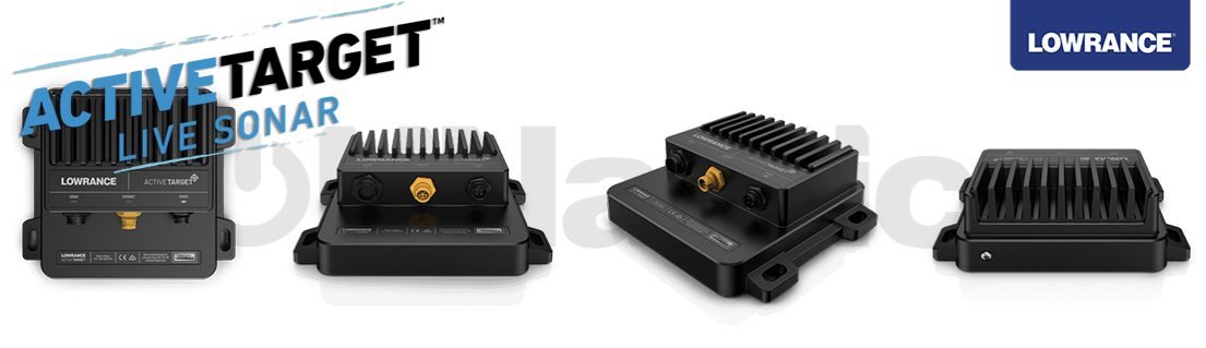 Descubriendo Active Target™