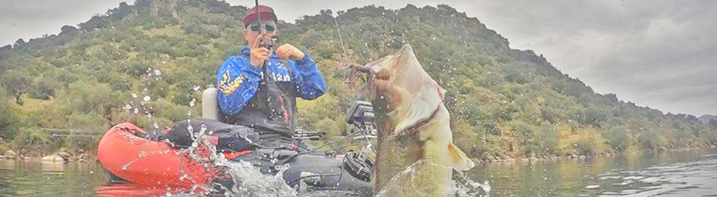 Pesca con pato, consejos que funcionan